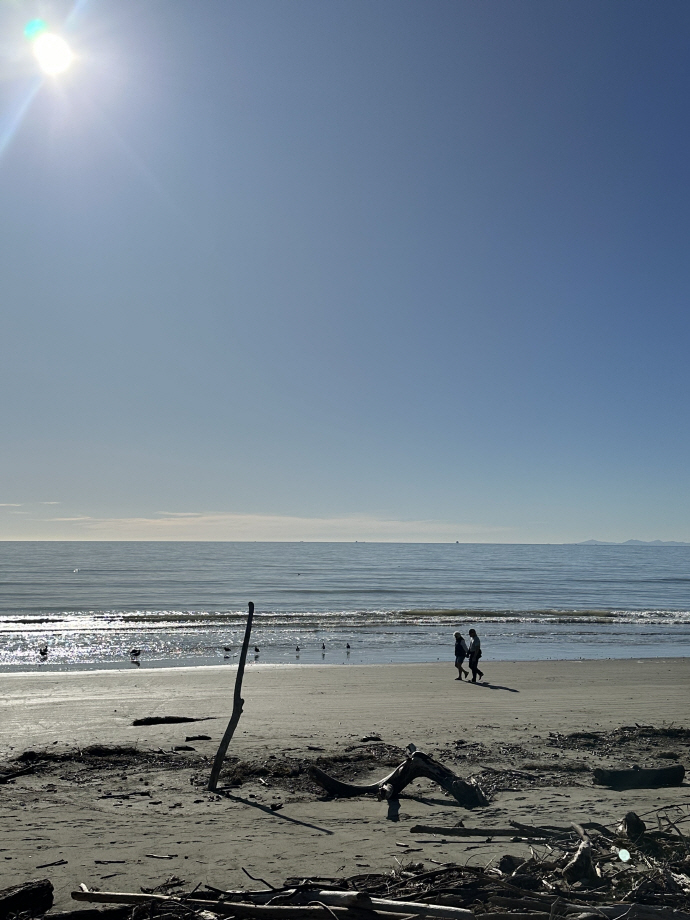 [김진환의 여행이야기-17]넬슨 모투로아 래빗 아일랜드(Moturoa Rabbit Island)