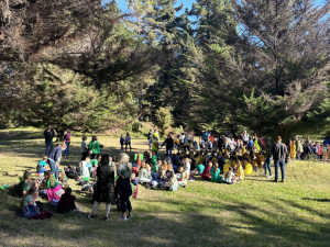 [김진환의 여행이야기-17]넬슨 모투로아 래빗 아일랜드(Moturoa Rabbit Island)